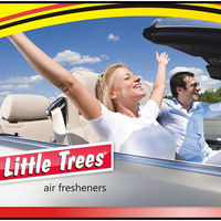 Little Tree Air Fresheners