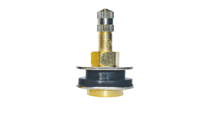 TR 2" Tubeless Truck Oval Valve